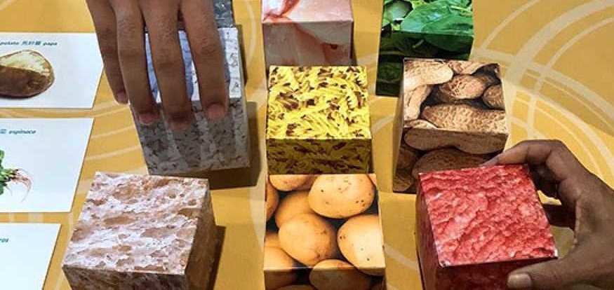 Food Cubes | the Shape of Life | The Story of the Animal Kingdom