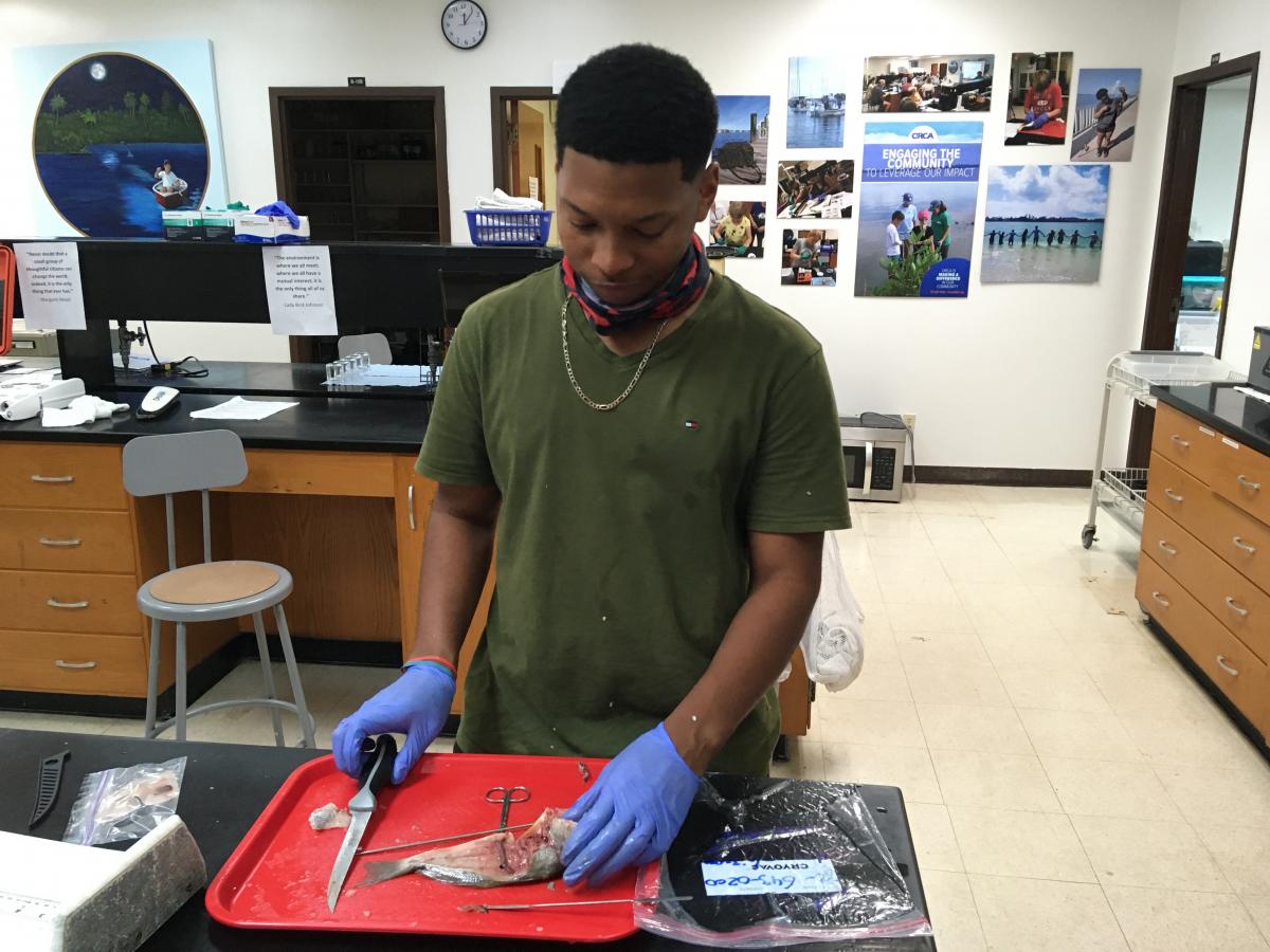 Edie Widder CEO and Senior Scientist, Ocean Research & Conservation ...