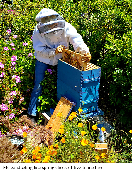 Buzzed on Bees | the Shape of Life | The Story of the Animal Kingdom