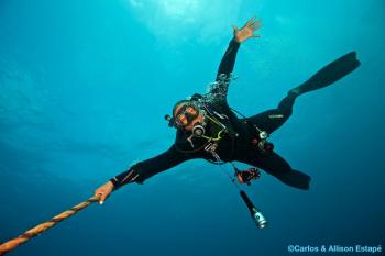 Colin Howe PhD Candidate, Penn State University | Shape of Life