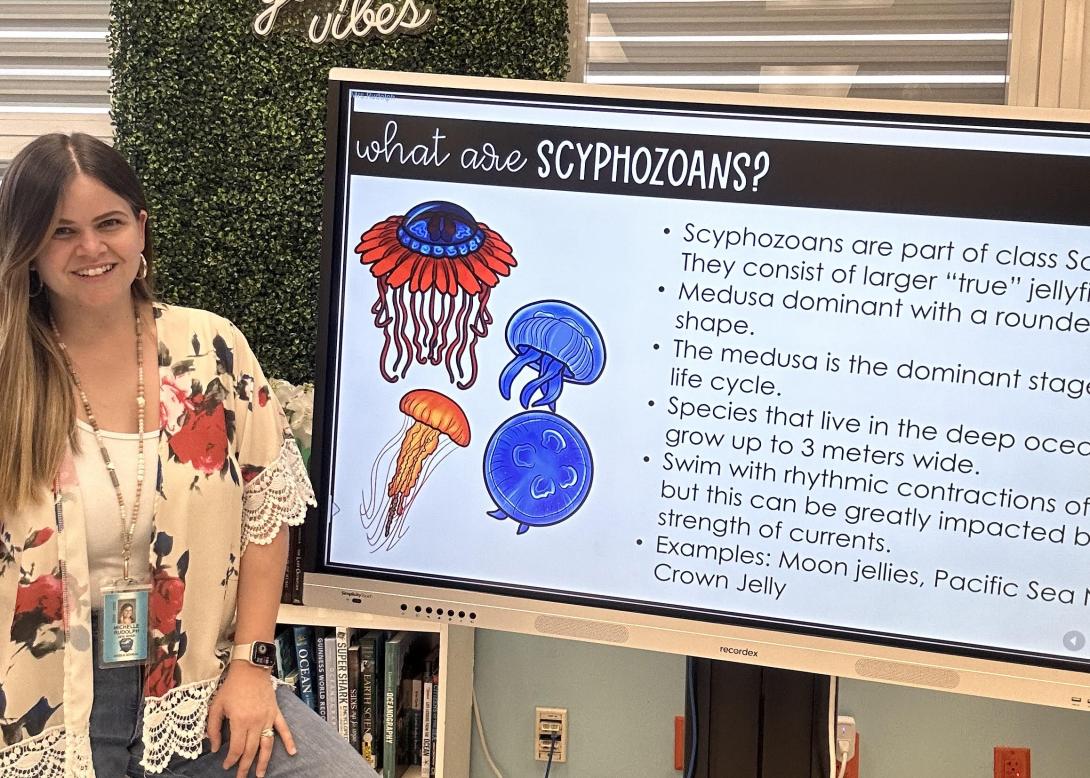 Teachers | Shape of Life